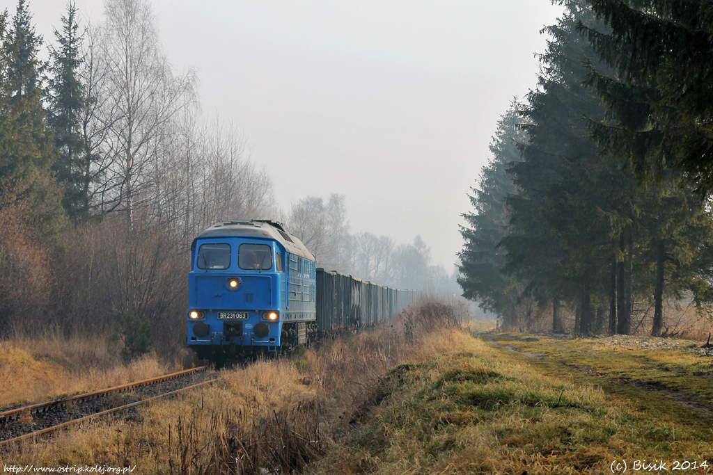 BR231-063 - OK-KOLEJ.pl - Pozytywna Galeria Kolejowa